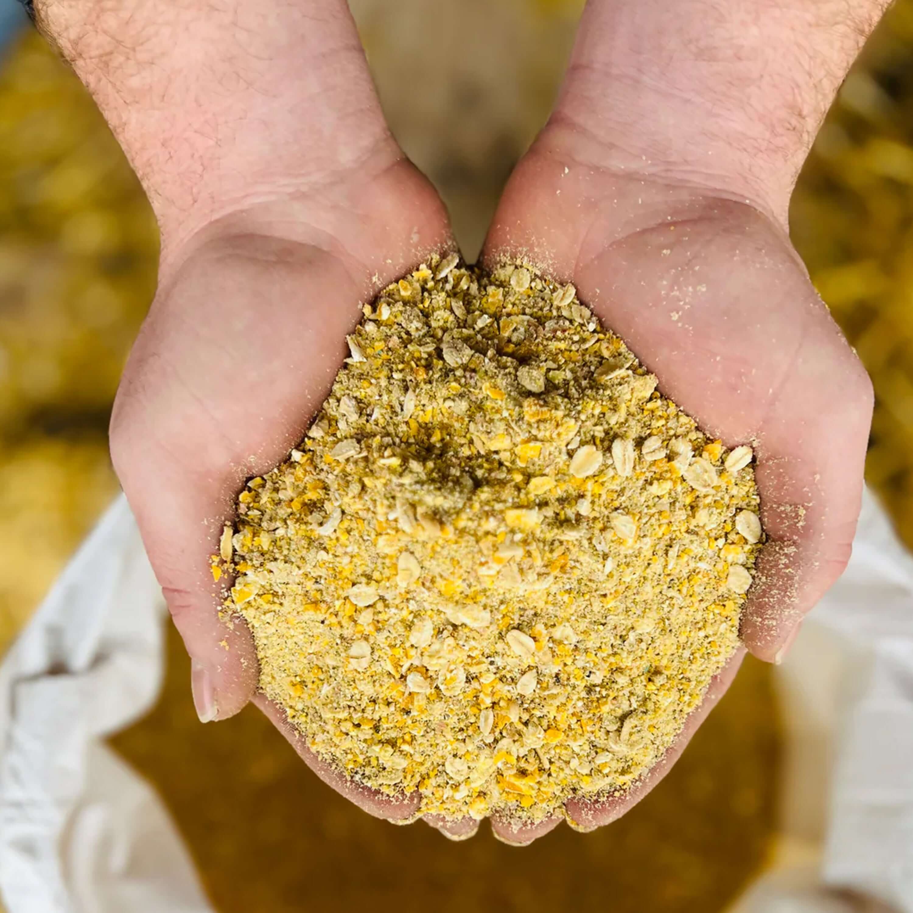 Show Pig Feed - Leland Mills