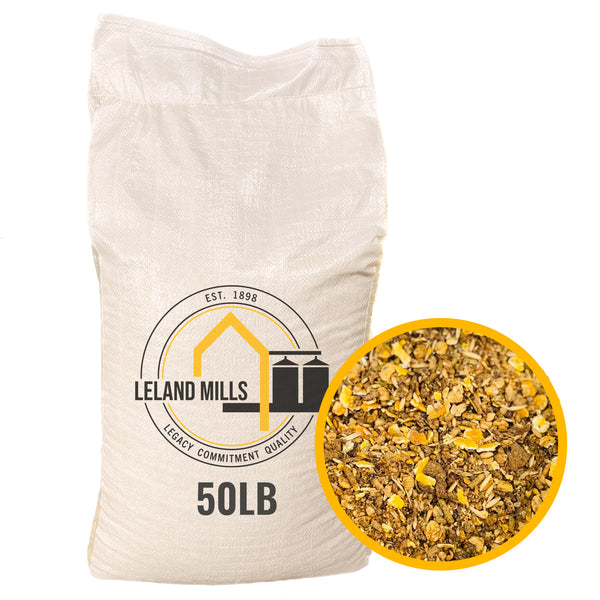 Buckle Up Show Lamb Feed | Sheep Feed | Leland Mills