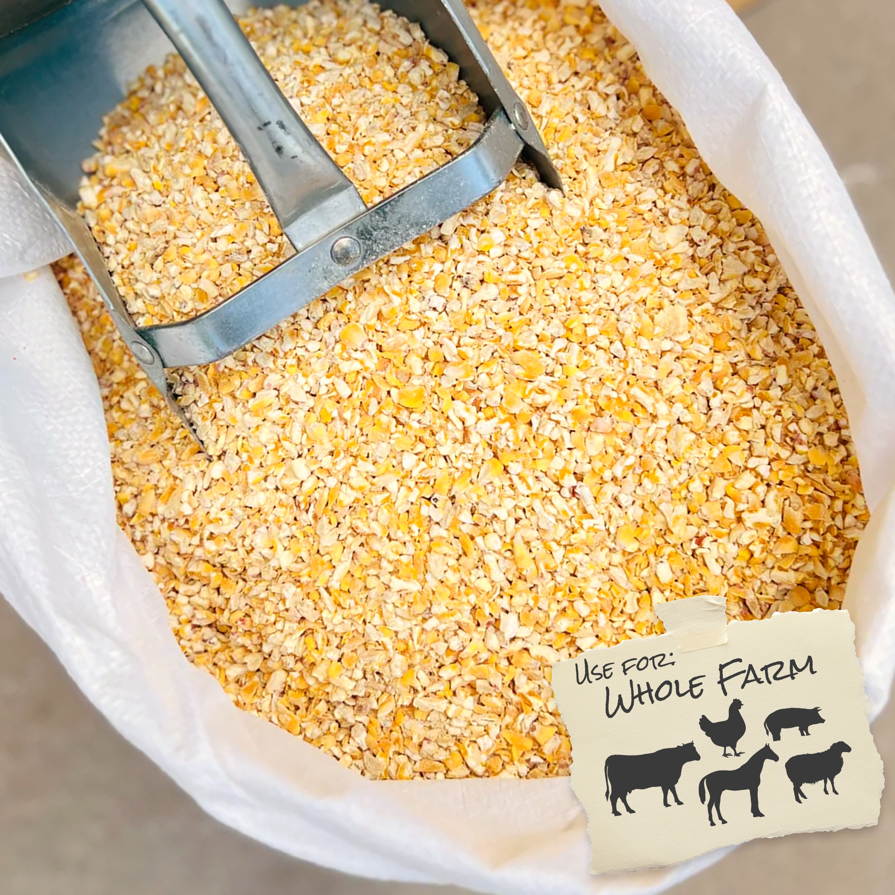 Premium U.S.A. Cracked Corn | Livestock Feed | Leland Mills