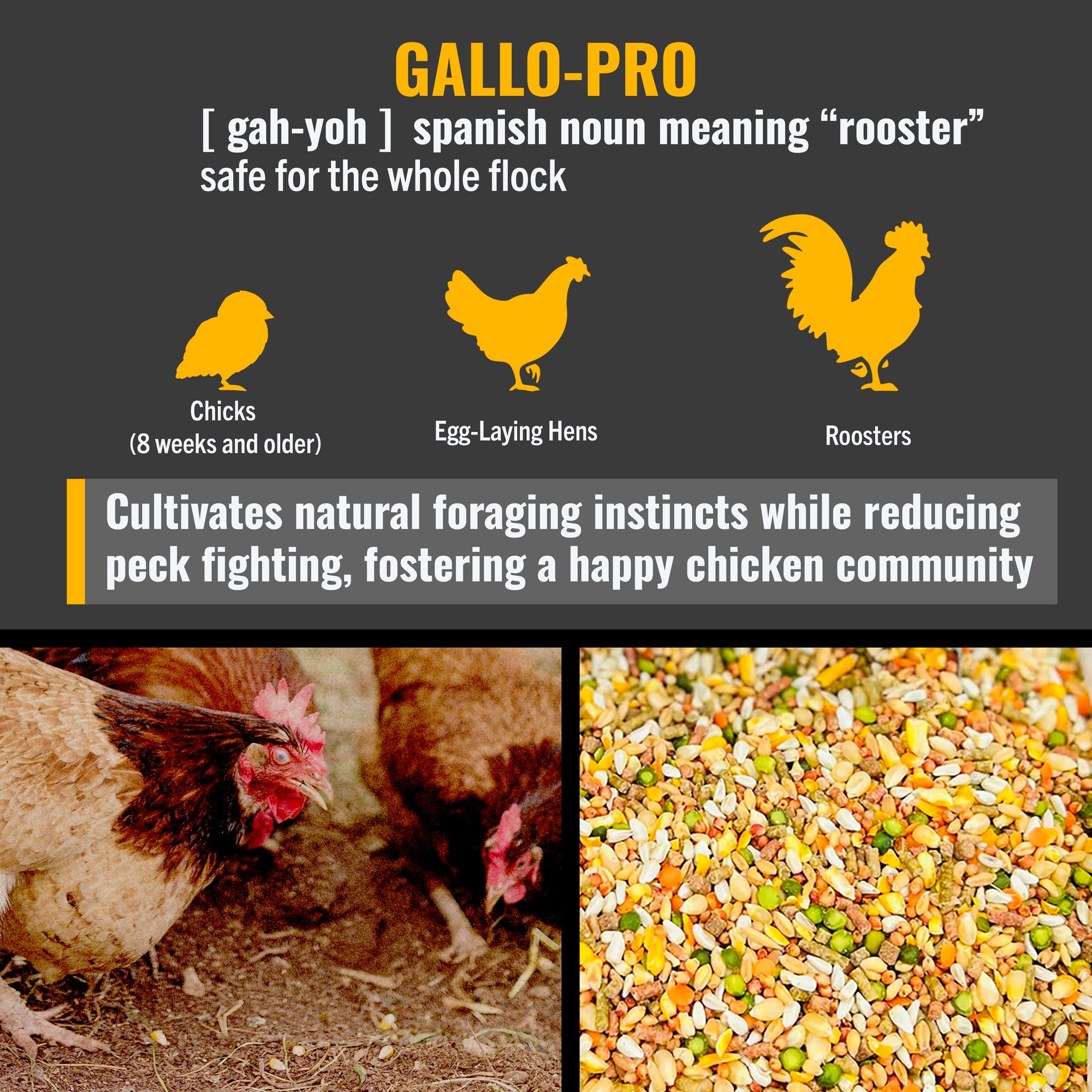 Gallo Pro Poultry Feed | Chicken Feed | Leland Mills