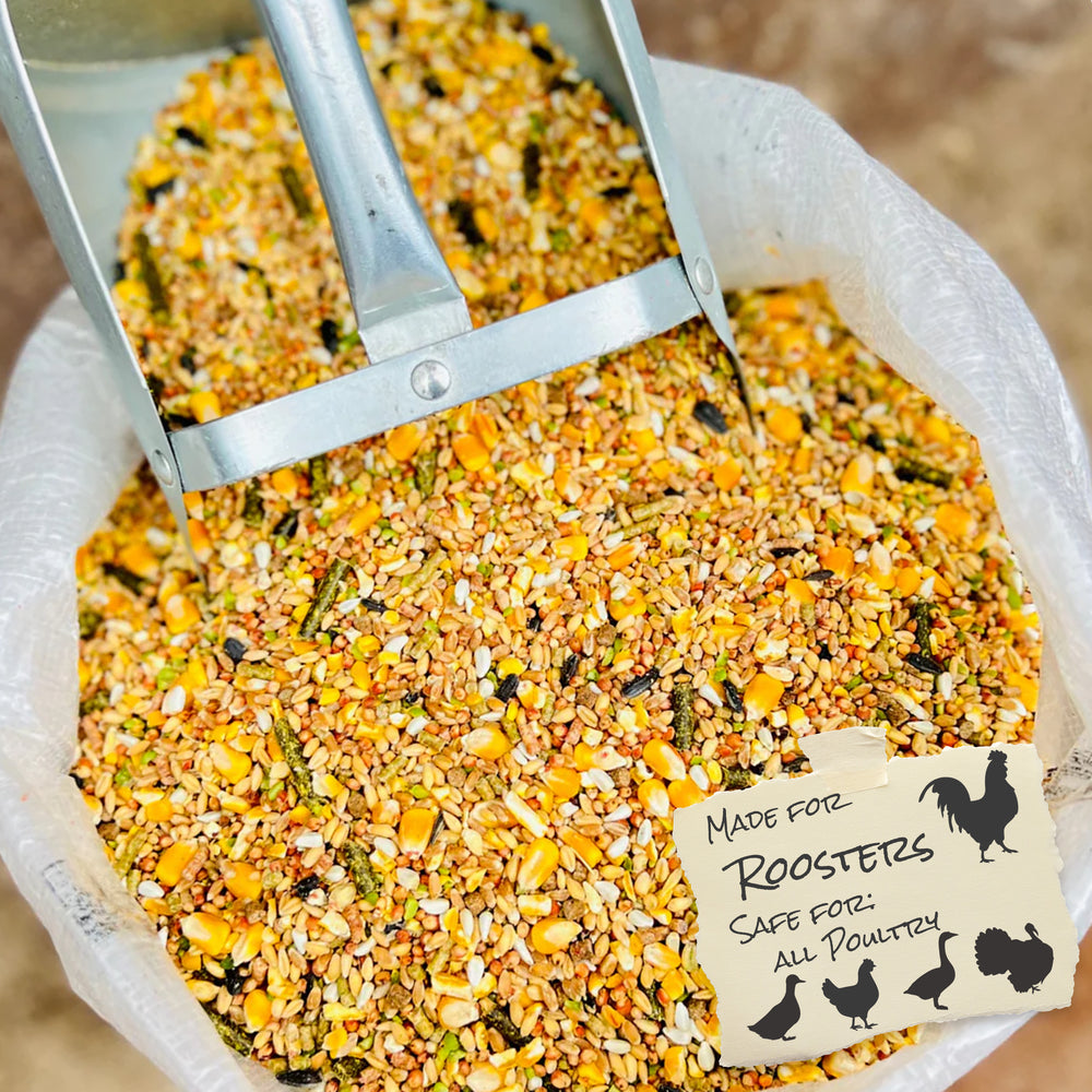 High-Quality Rooster Feed for Strong, Healthy Birds | Leland Mills