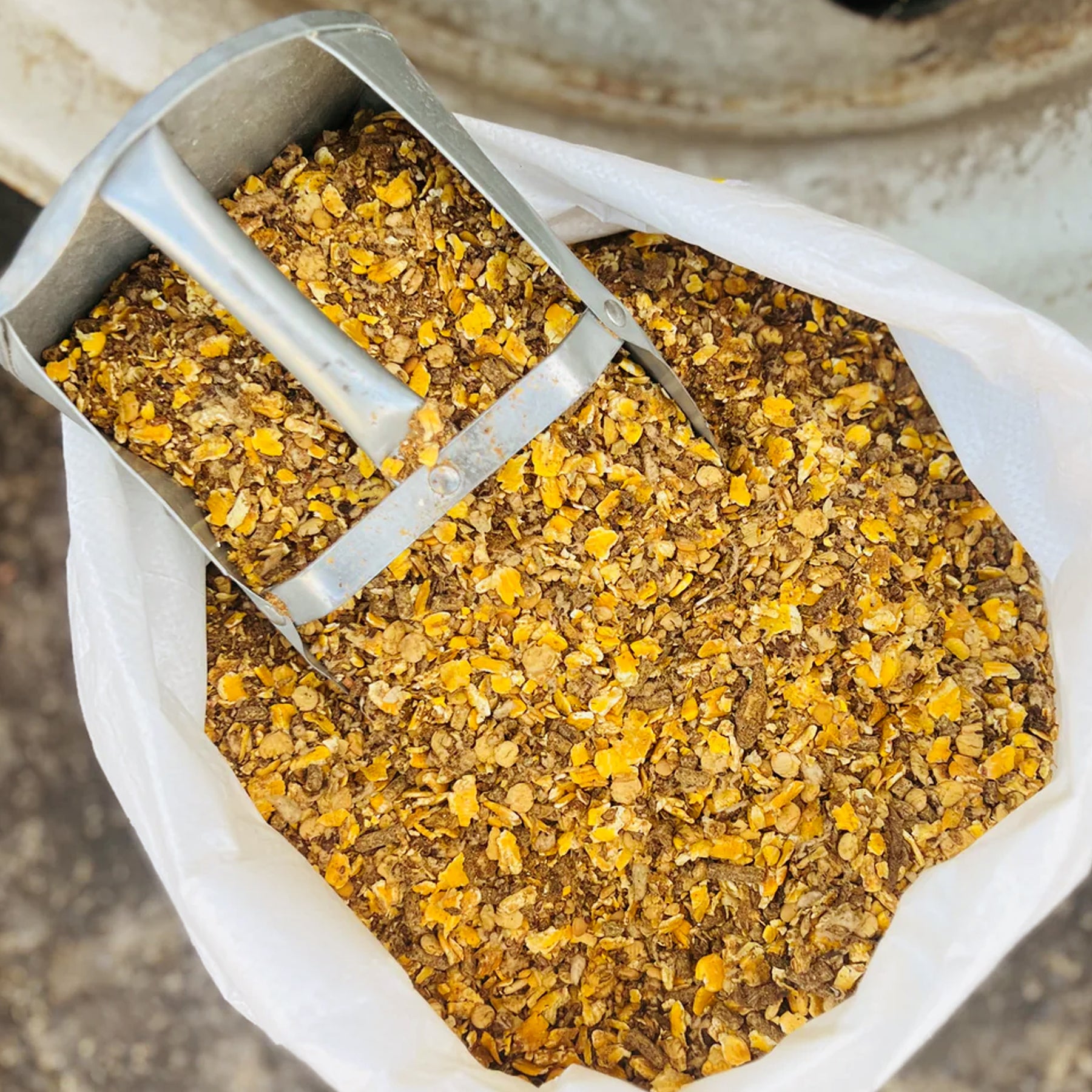 Show Feed - Leland Mills