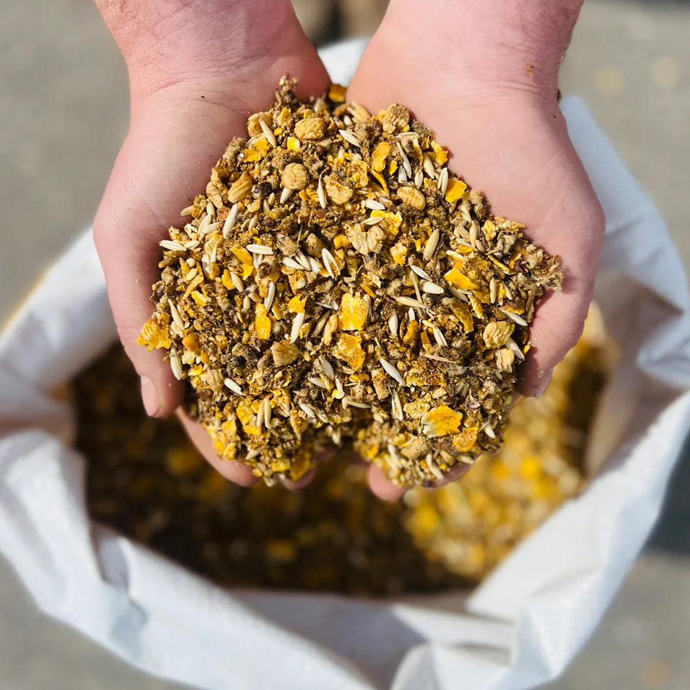 Show Feed - Leland Mills